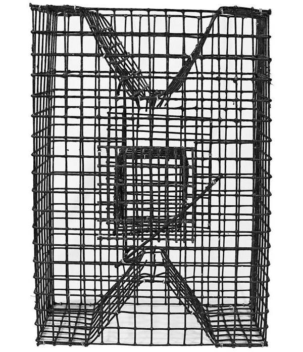 Lee Fisher Pinfish Trap | Dick's Sporting Goods